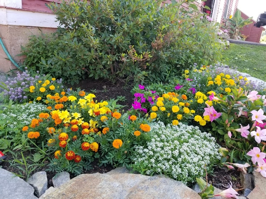 Biological Pest Control For Connecticut School Grounds | Integrated ...