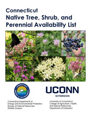 Pollinators | Integrated Pest Management