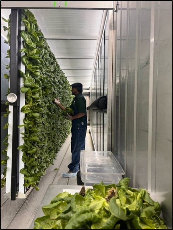 Connecticut IPM Program 2024 Annual Report | Integrated Pest Management
