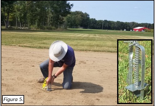 Manejo de Topos/Moles | Integrated Pest Management